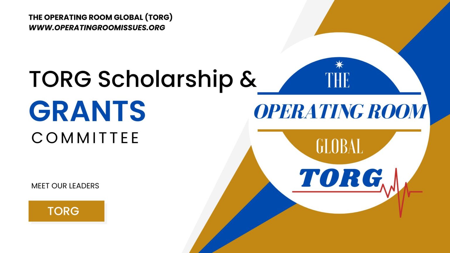 Introducing the TORG Scholarship and Grants Committee: Empowering ...